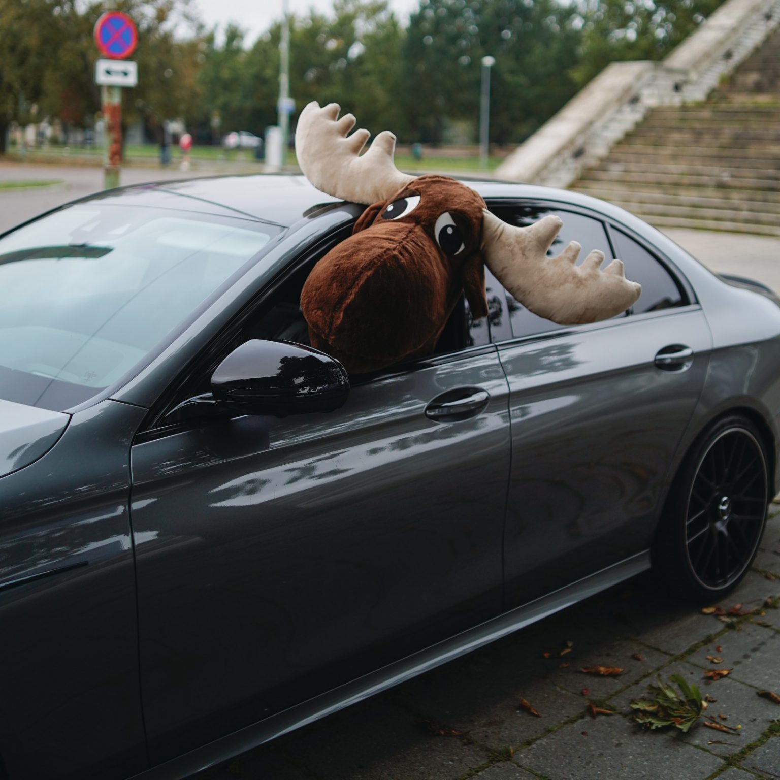 The Ultimate Car Rental Checklist For Your Next Rental - Rentalmoose